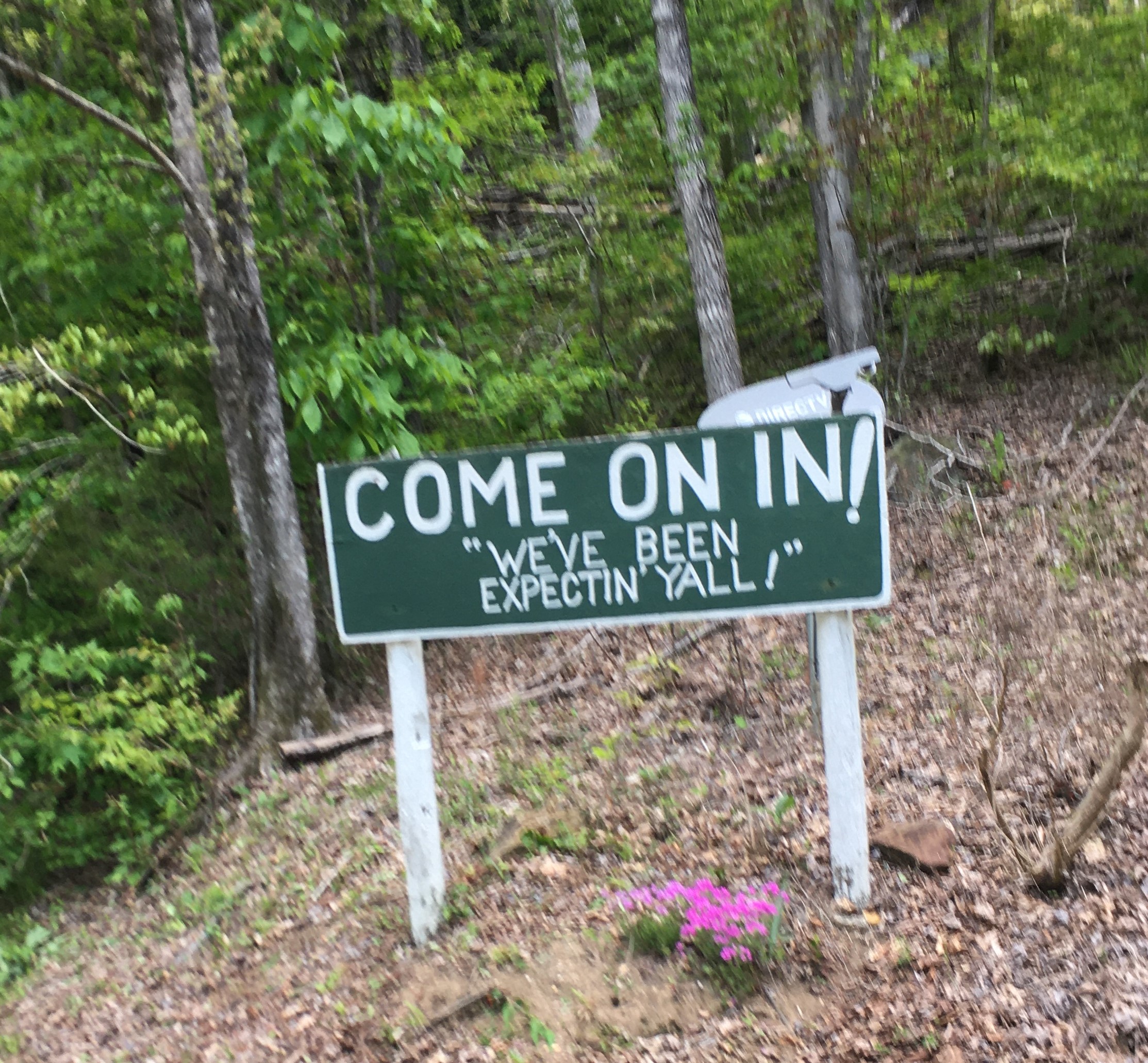 BANKHEAD FOREST: Page Three – ROAD TRIPS!