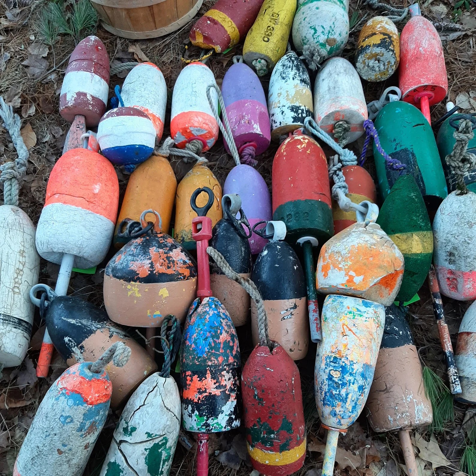 Whale Tails and Eagle Wings – ROAD TRIPS!